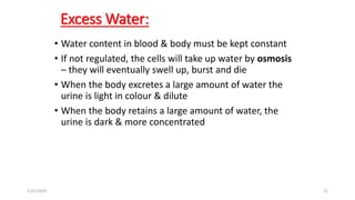 Excretion-in-humans-igcse.pptx