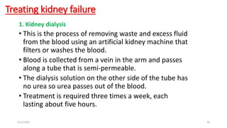 Excretion-in-humans-igcse.pptx