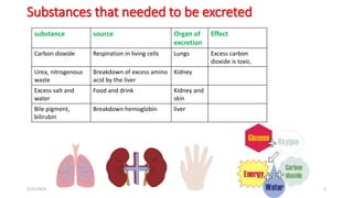 Excretion-in-humans-igcse.pptx