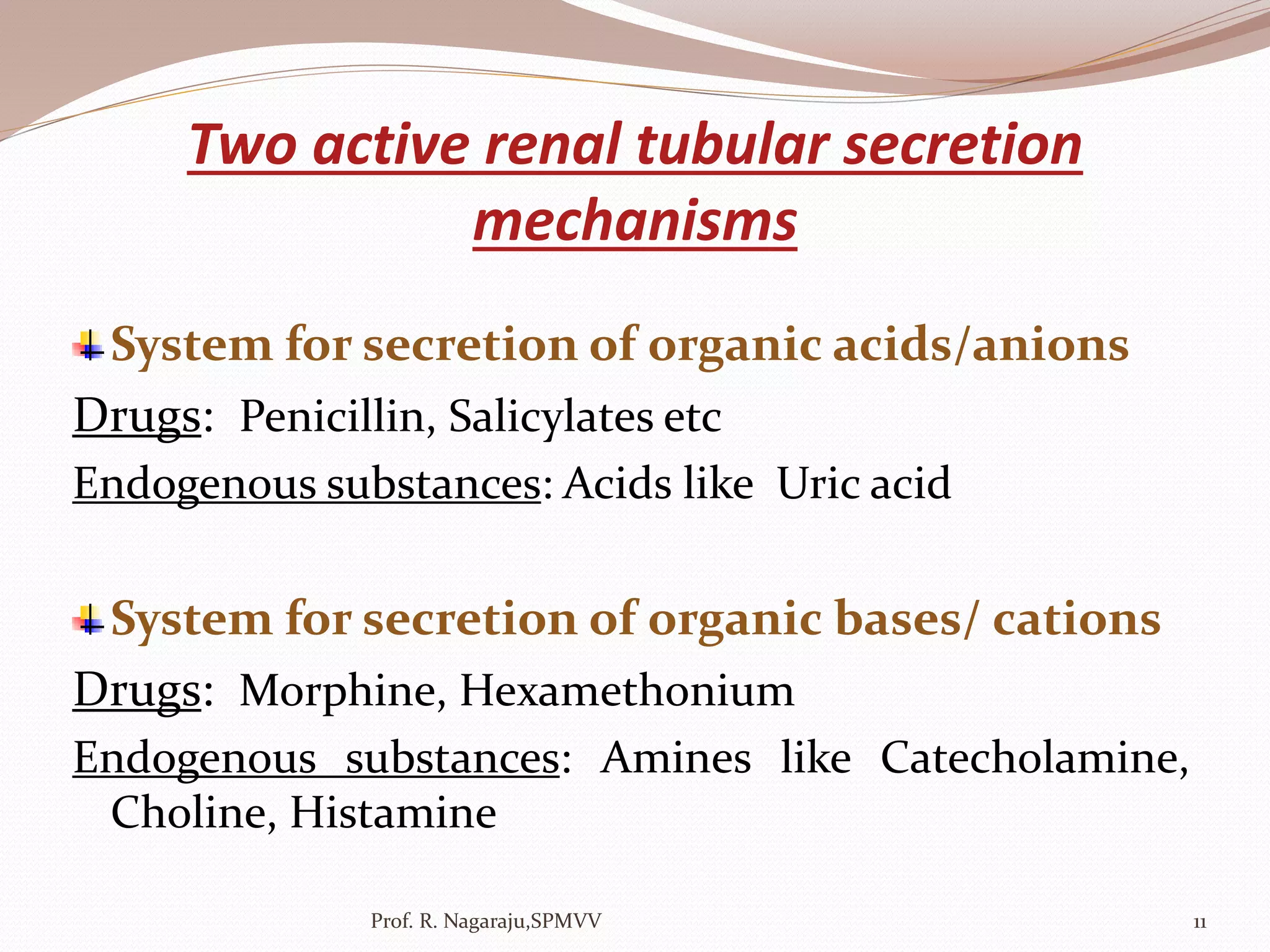 Excretion renal and non-renal | PPT