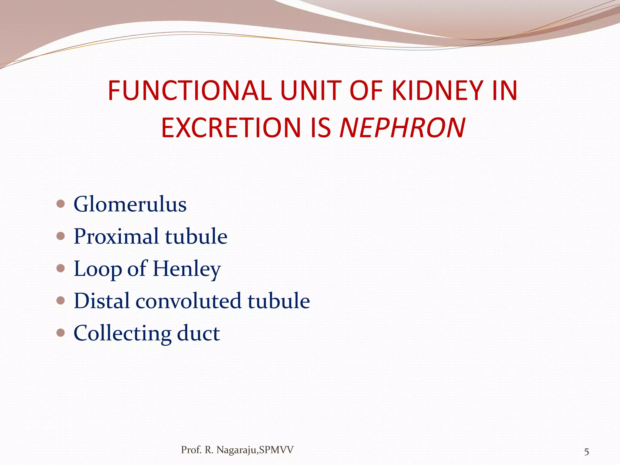 Excretion renal and non-renal | PPT