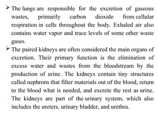 Excretion - Structure of Nephron and its detailed description. | PPT
