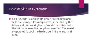 Excretion 9th ppt notes | PPTX