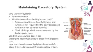 Excretion and interaction of systems | PPTX
