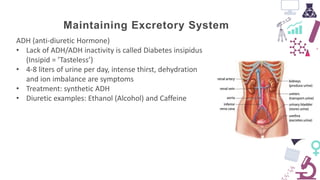 Excretion and interaction of systems | PPTX