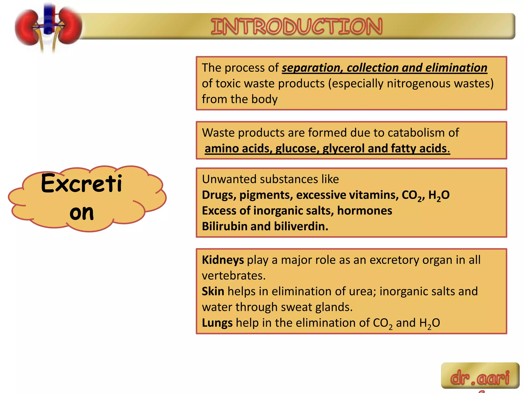 Excretion and osmoregulation | PPT