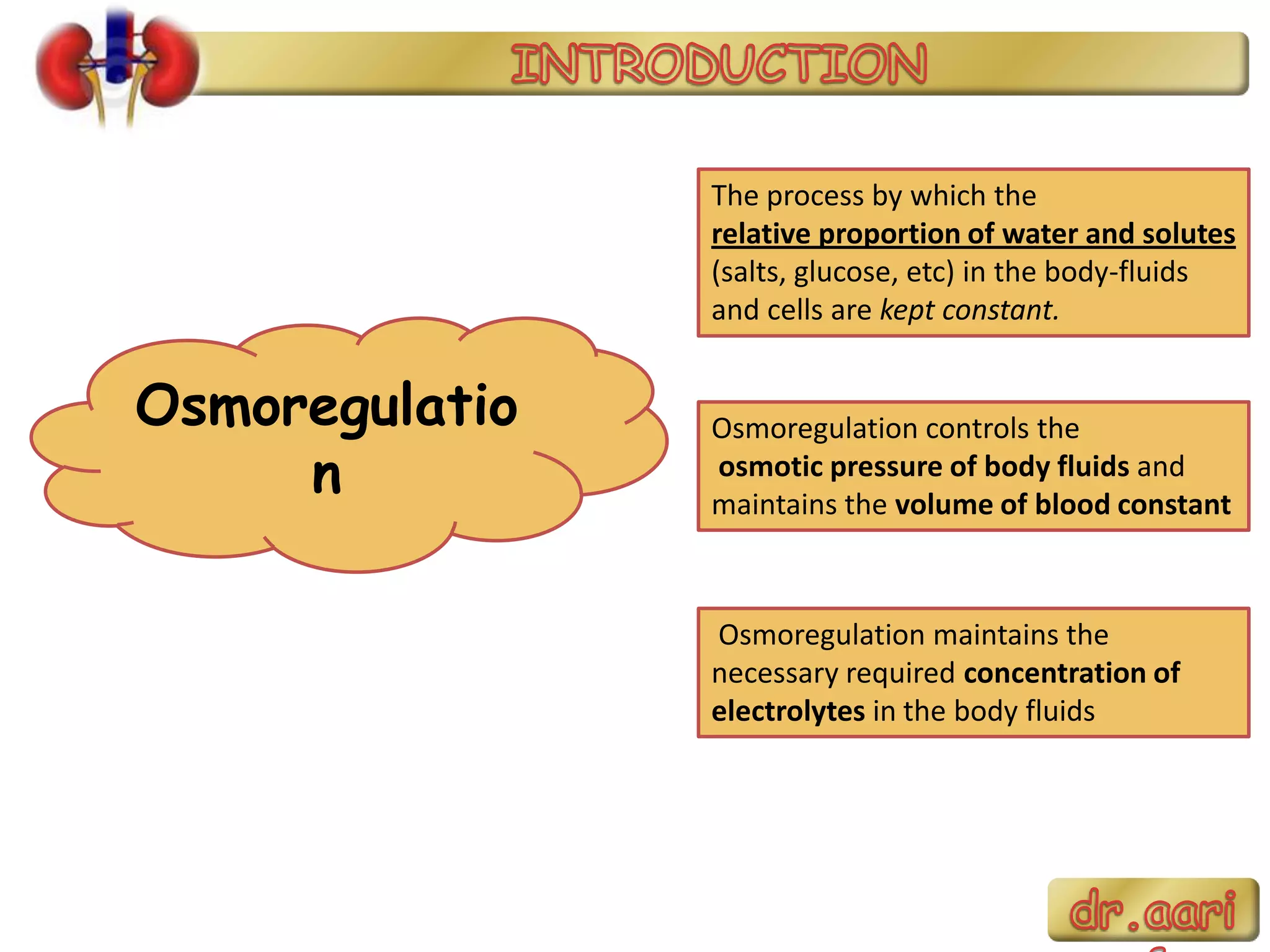Excretion and osmoregulation | PPSX