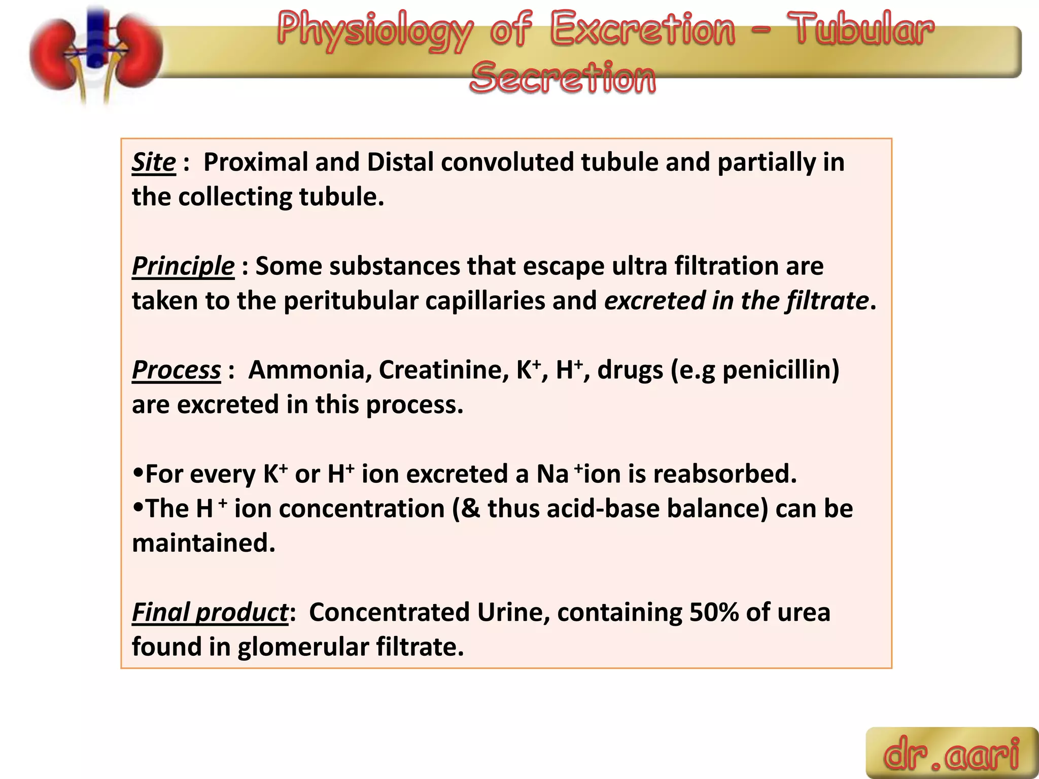 Excretion and osmoregulation | PPSX