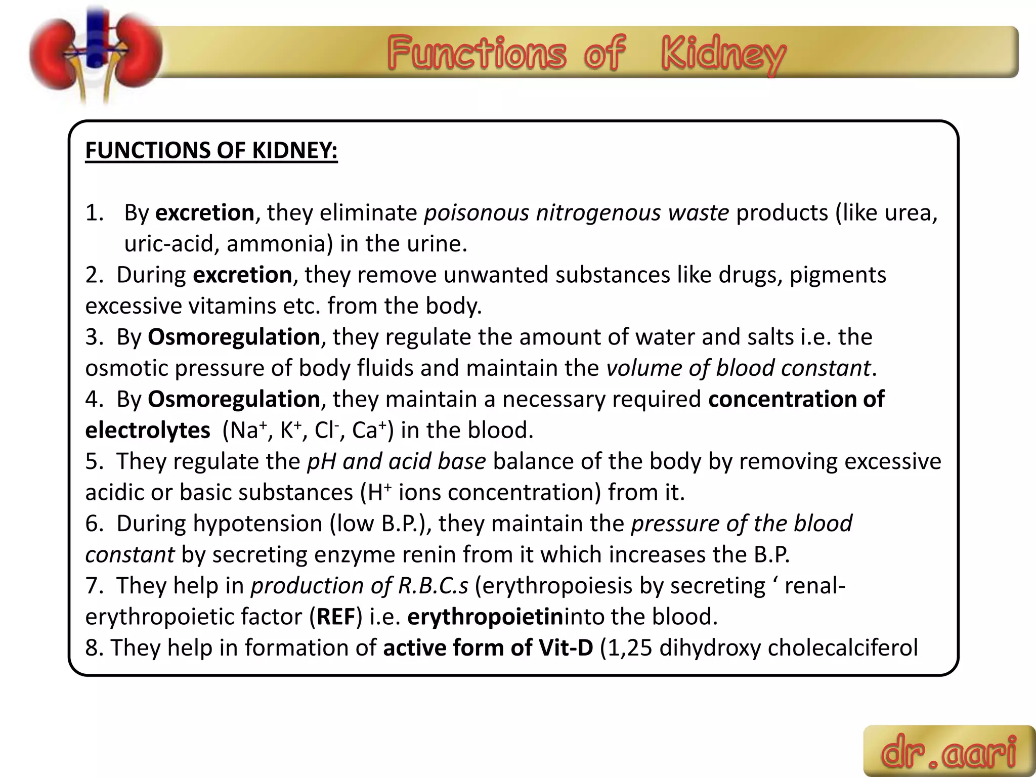 Excretion and osmoregulation | PPSX