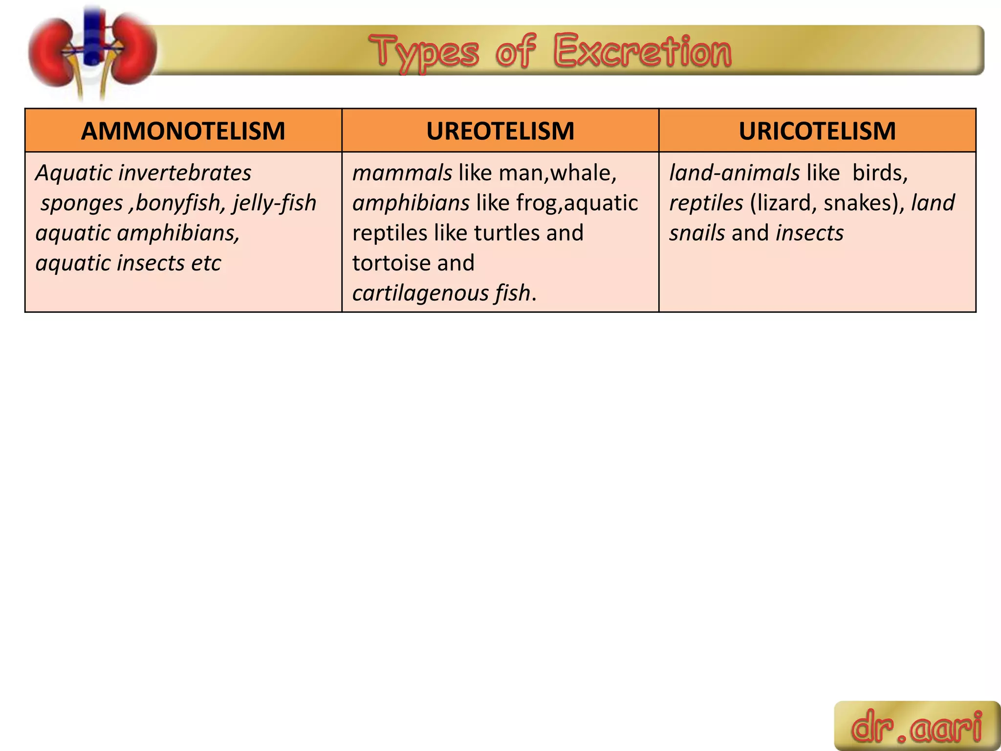 Excretion and osmoregulation | PPSX