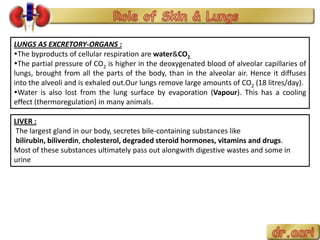 Excretion and osmoregulation | PPSX