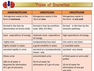 Excretion and osmoregulation | PPT