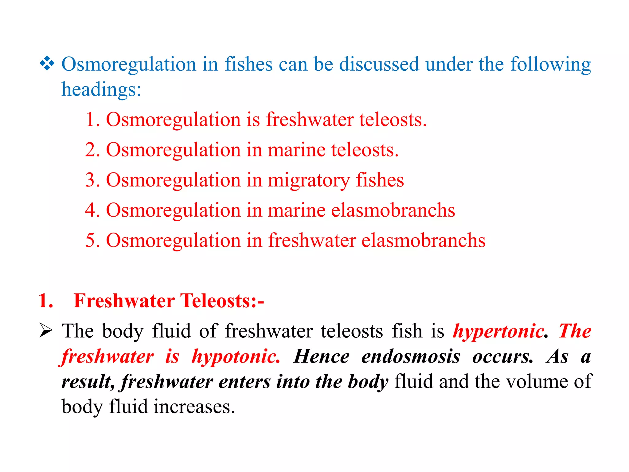 Excretion and osmoregulation | PPTX
