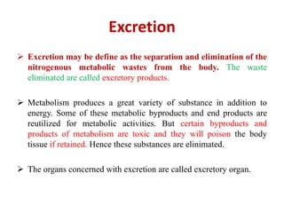 Excretion and osmoregulation | PPTX