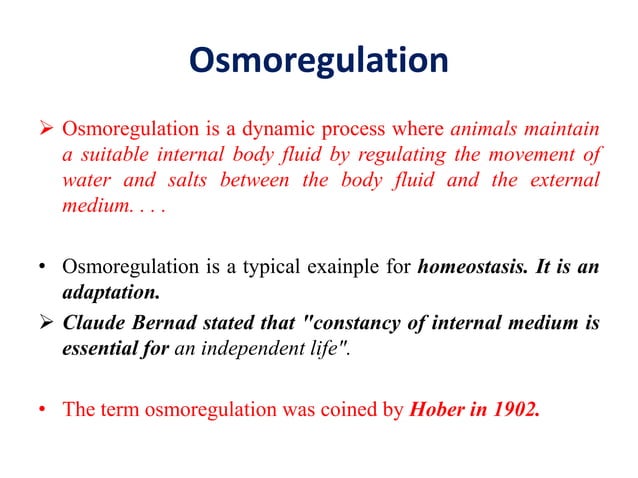 Excretion and osmoregulation | PPTX