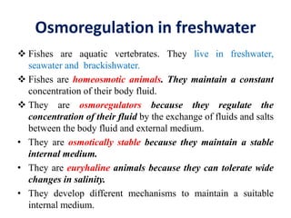 Excretion and osmoregulation | PPTX