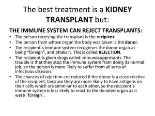 iGCSE Biology Notes Excretion and the kidneys.pptx