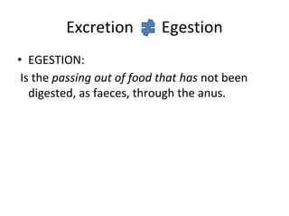 iGCSE Biology Notes Excretion and the kidneys.pptx