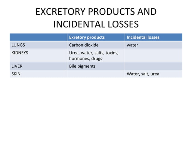 iGCSE Biology Notes Excretion and the kidneys.pptx
