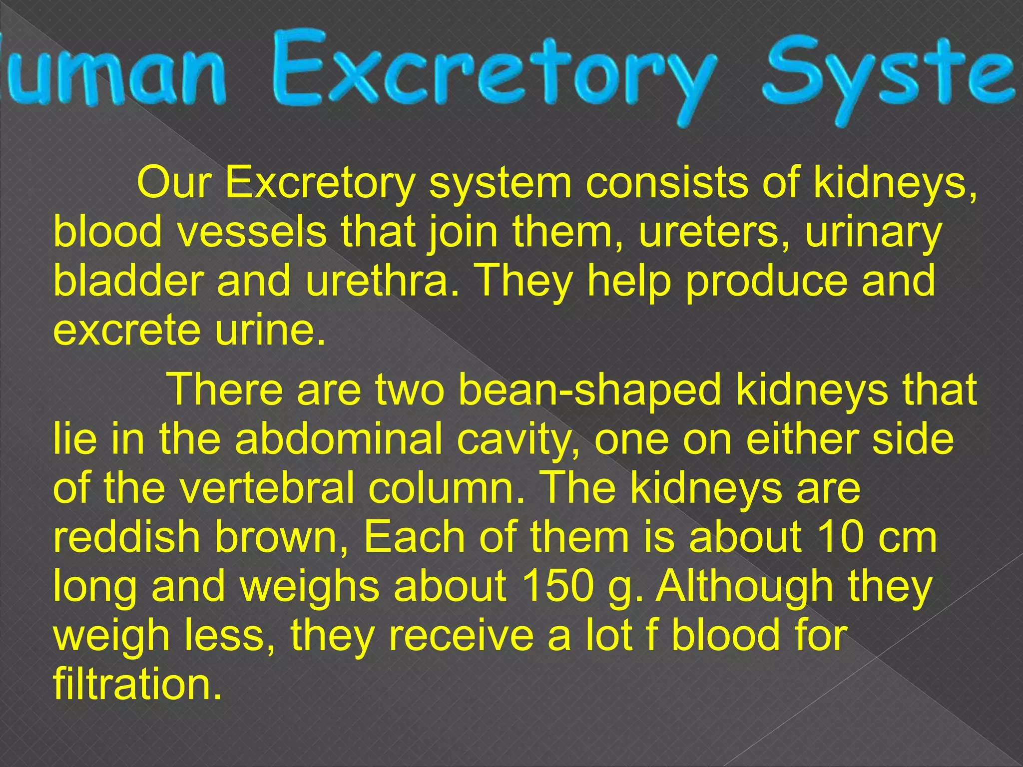 Excretion (biology) class 10th | PPTX
