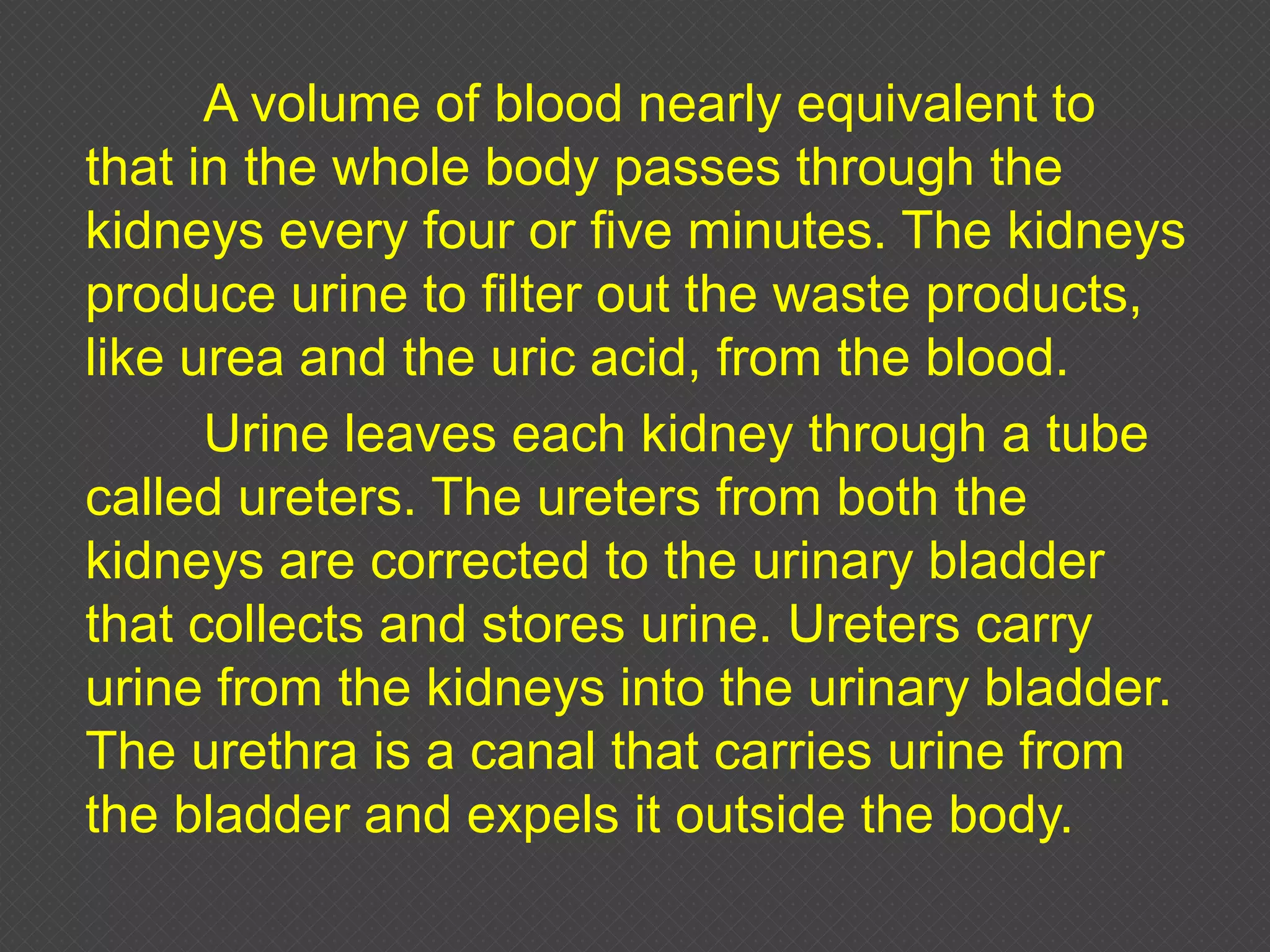 Excretion (biology) class 10th | PPTX