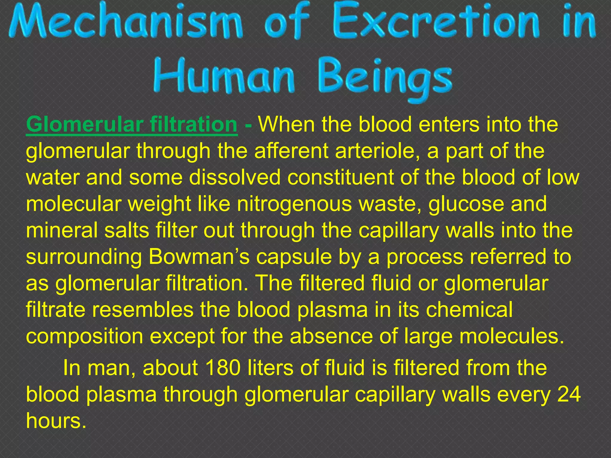 Excretion (biology) class 10th | PPTX