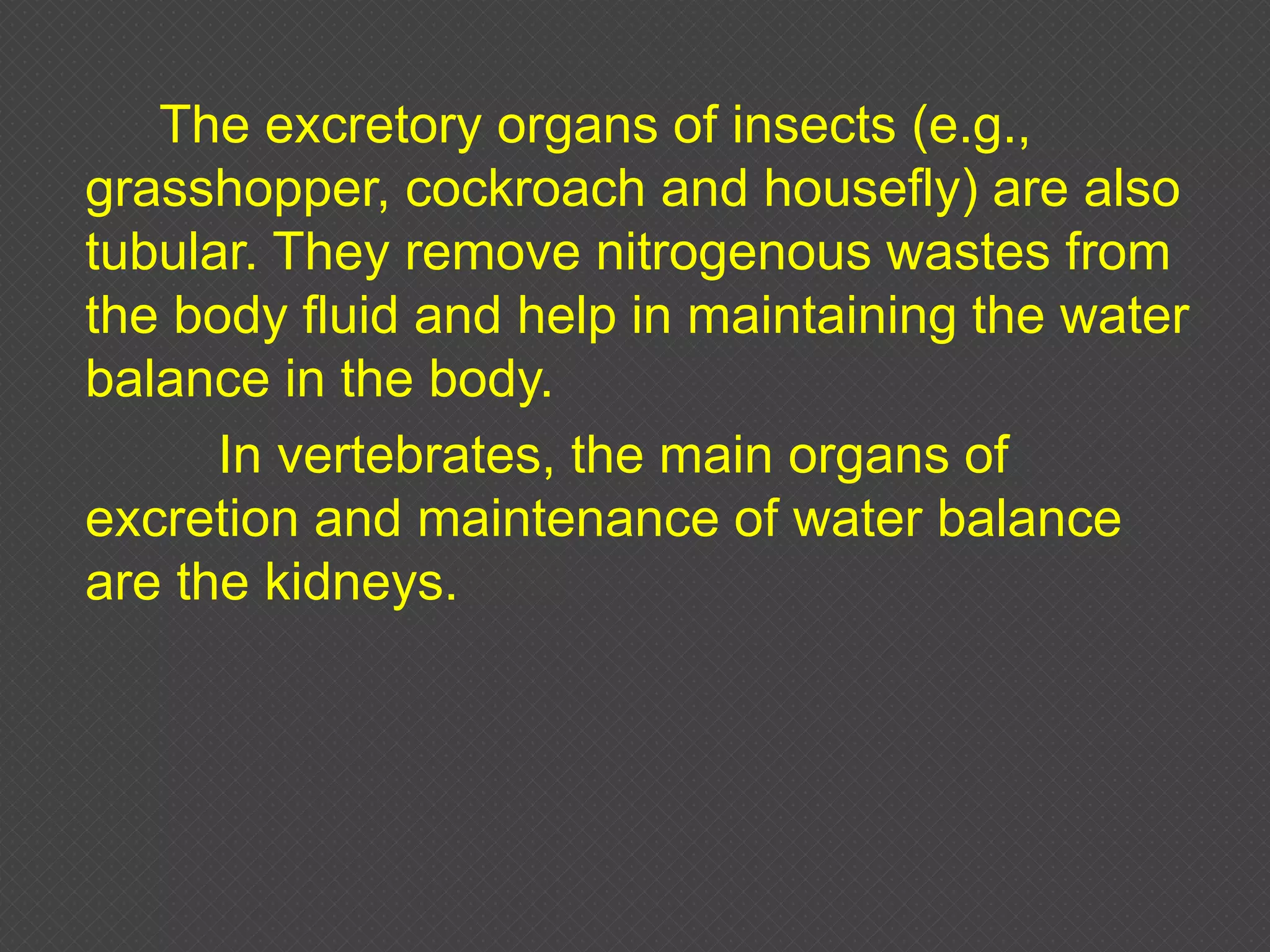 Excretion (biology) class 10th | PPTX
