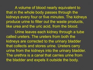 Excretion (biology) class 10th | PPTX