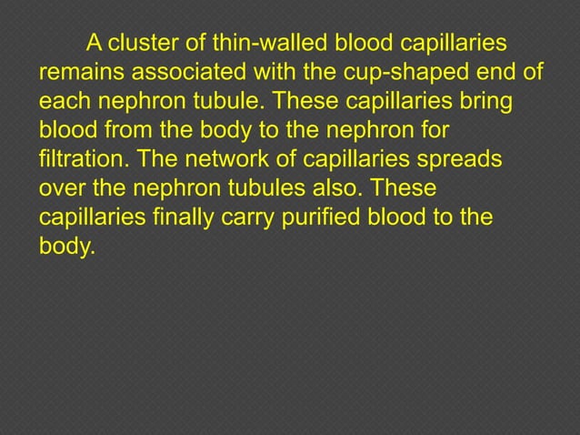 Excretion (biology) class 10th | PPTX