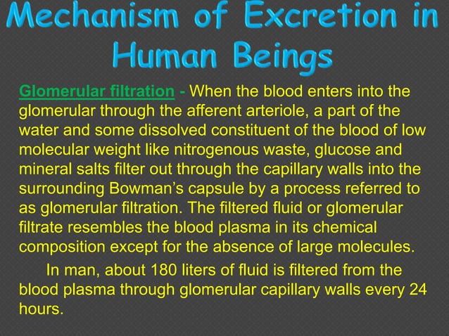 Excretion (biology) class 10th | PPTX