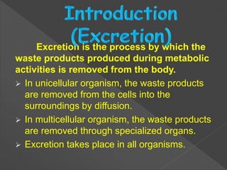 Excretion (biology) class 10th | PPTX