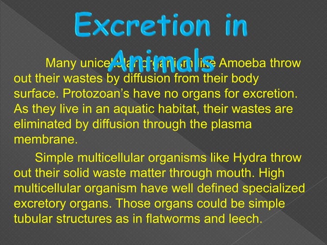 Excretion (biology) class 10th | PPTX