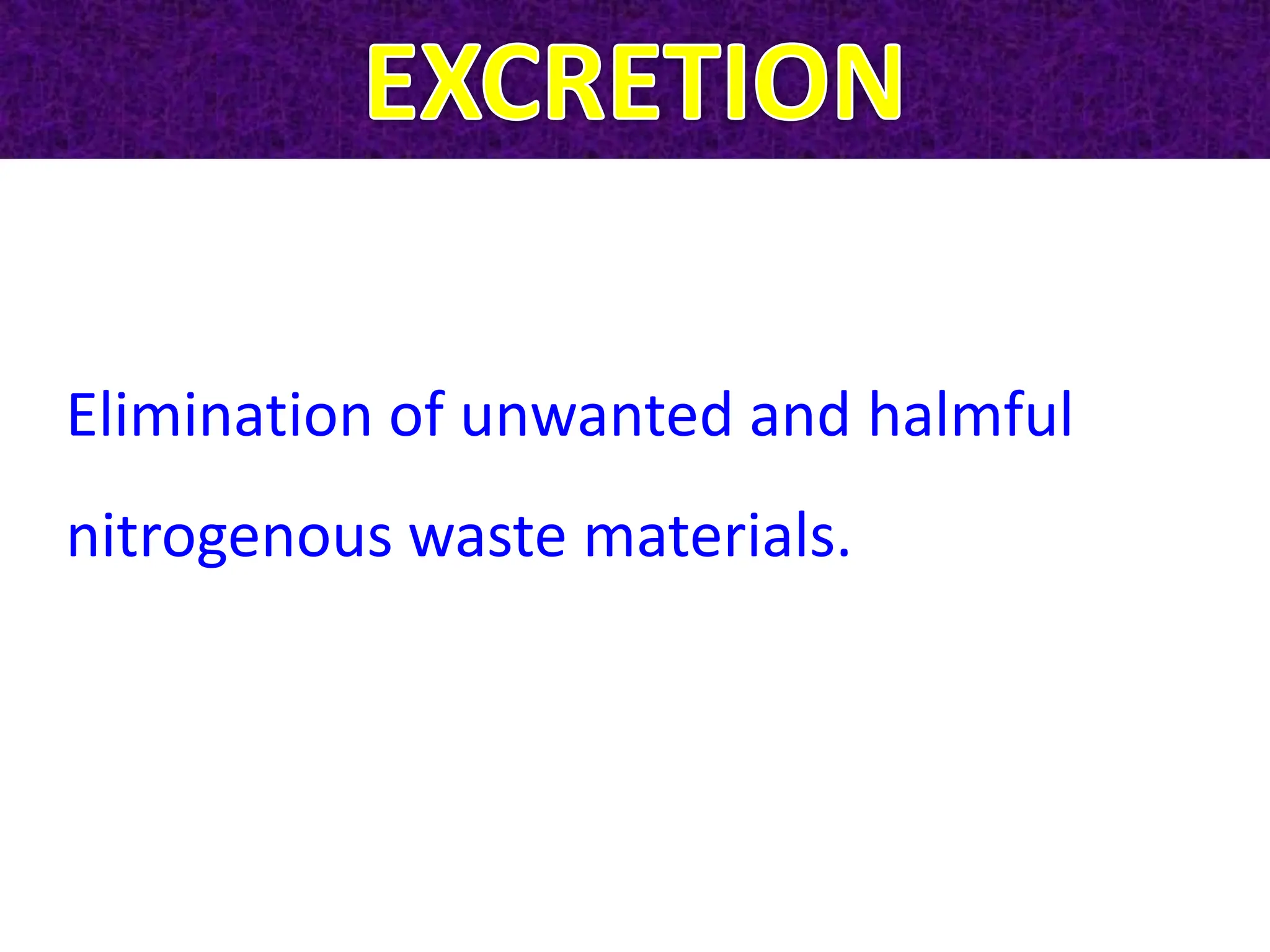 EXCRETION-STRUCTURE OF NEPHRON,URINE FORMATION | PDF