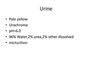 EXCRETION-STRUCTURE OF NEPHRON,URINE FORMATION | PDF