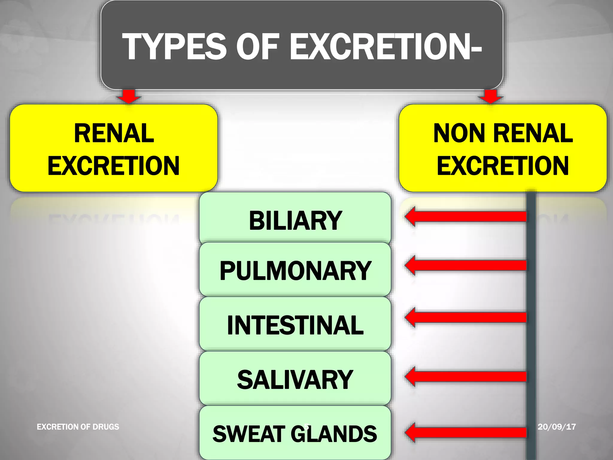 Excretion of drugs | PPTX