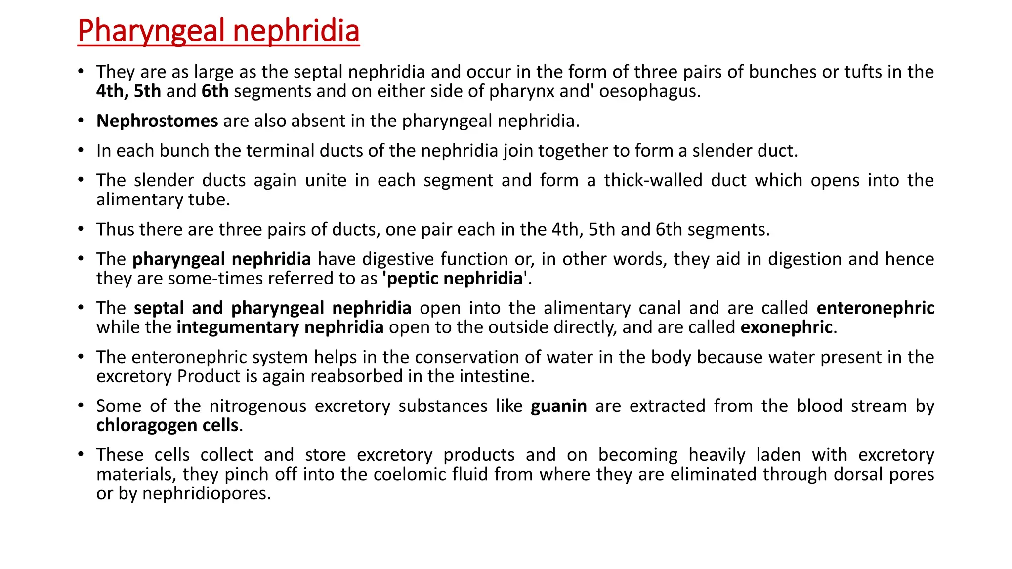EXCRETION IN ANNELIDA.pdf