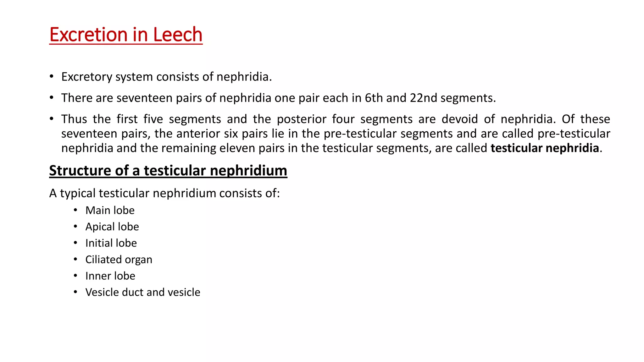 EXCRETION IN ANNELIDA.pdf