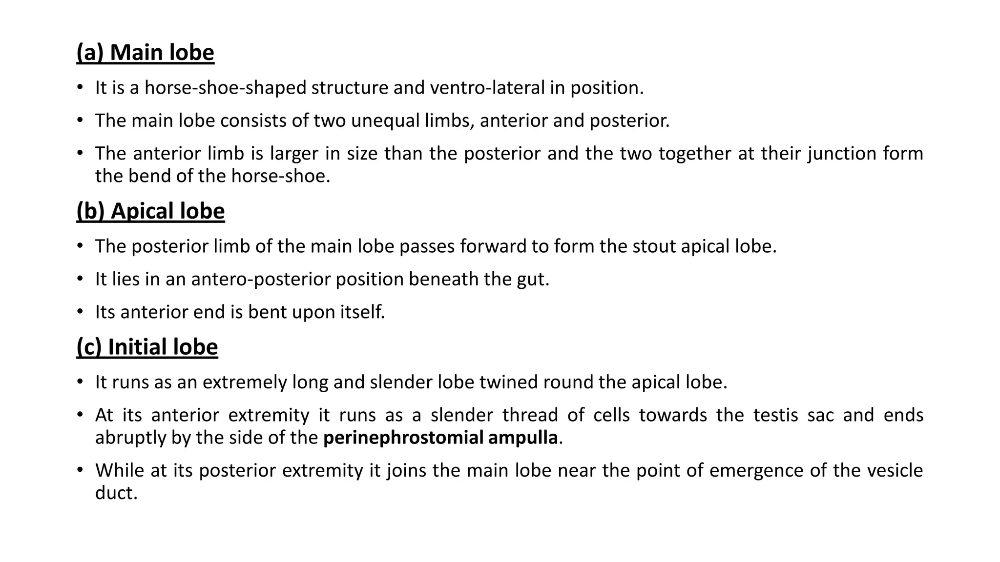 EXCRETION IN ANNELIDA.pdf