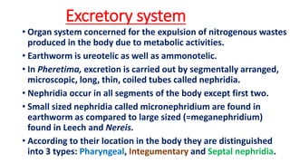 EXCRETION IN EARTHWORM for high school.pptx