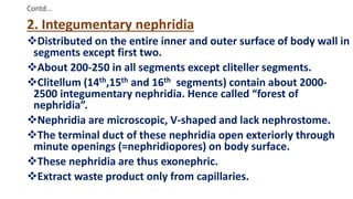 EXCRETION IN EARTHWORM for high school.pptx