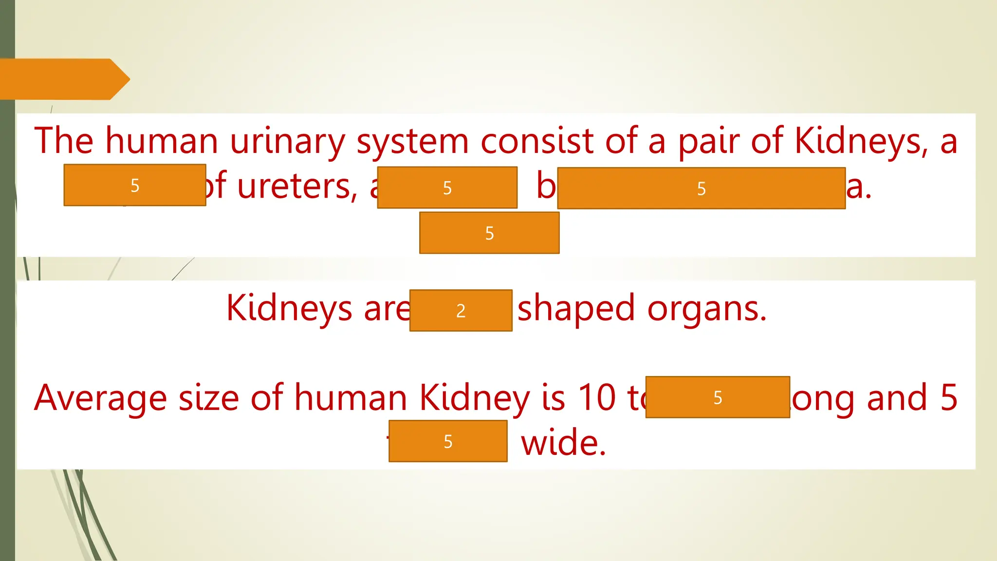 Excretion in Humans Ch 11 for Karishma.pptx