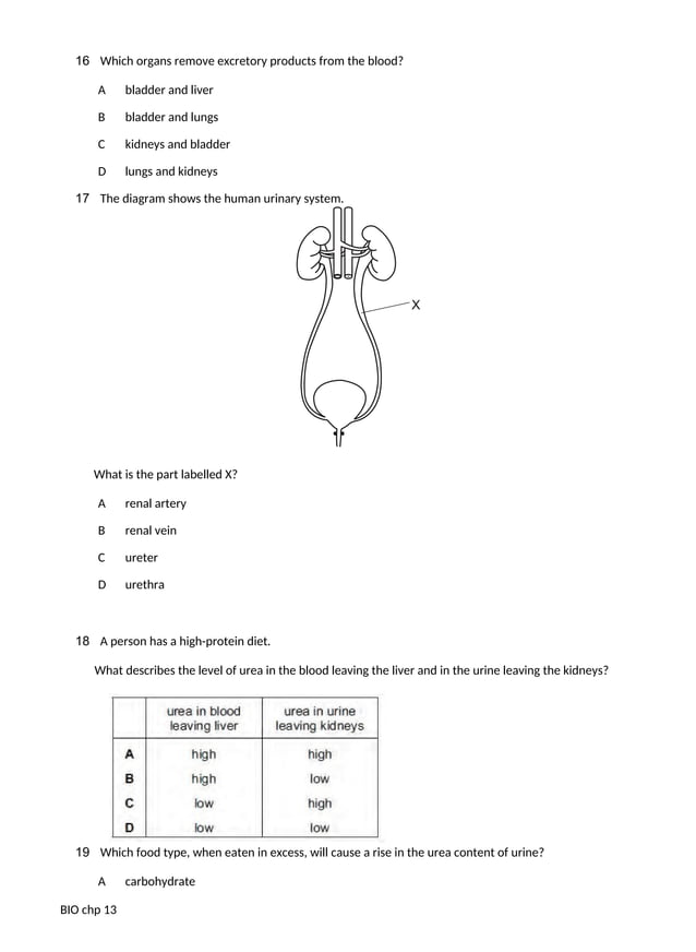 Excretion in Humans (Multiple Choice) QP.docx | Endocrine and Metabolic Diseases | Diseases and ...