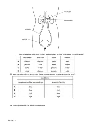 Excretion in Humans (Multiple Choice) QP.docx