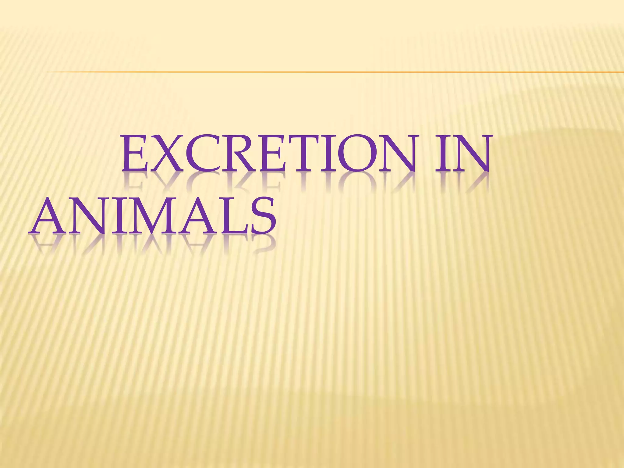 Excretion in animals | PPTX