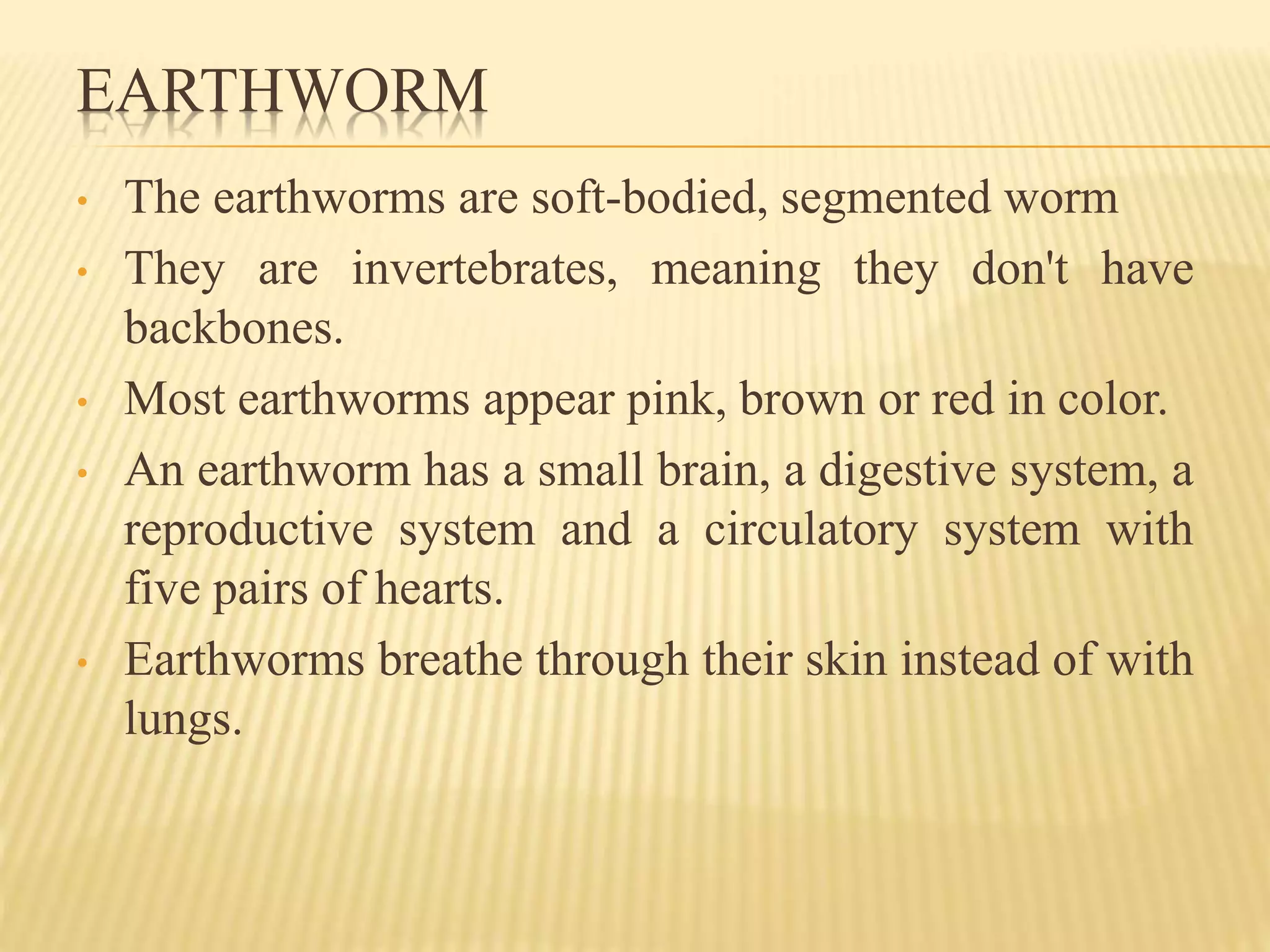 Excretion in animals | PPTX