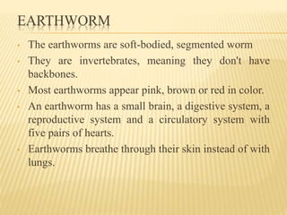 Excretion in animals | PPTX