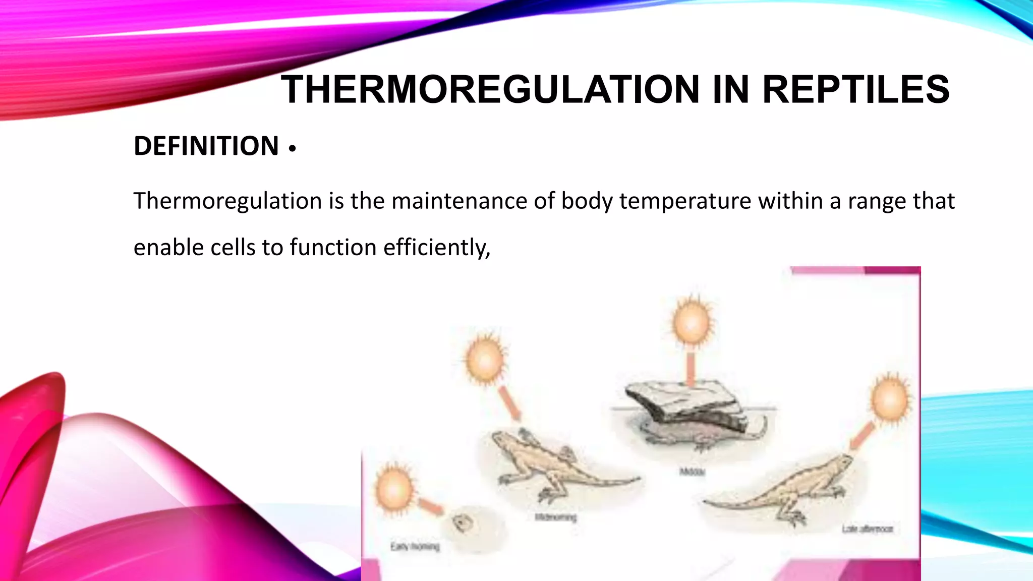 Excretion in reptiles & thermoregulation | PDF