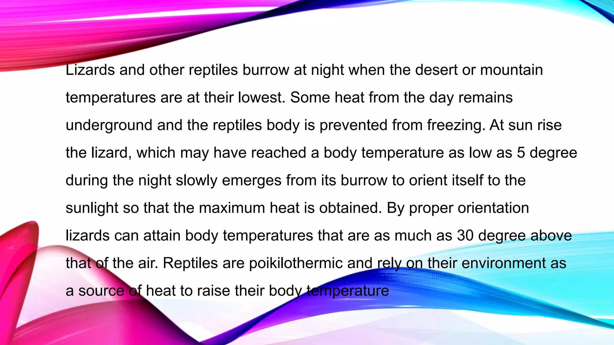 Excretion in reptiles & thermoregulation | PDF