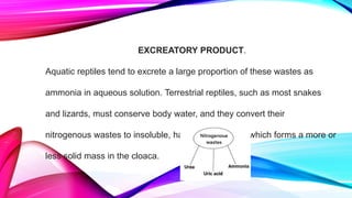 Excretion in reptiles & thermoregulation | PDF