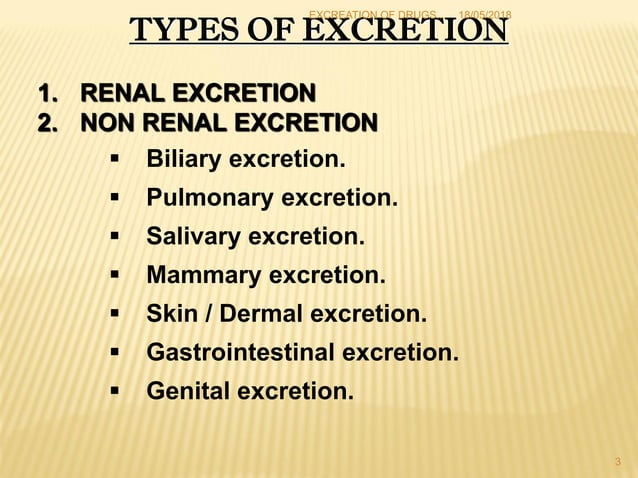 Excretion of drug | PDF